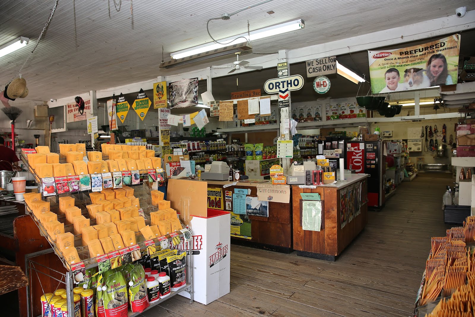 Sweet Southern Days: Growing Sweet Corn In The Garden