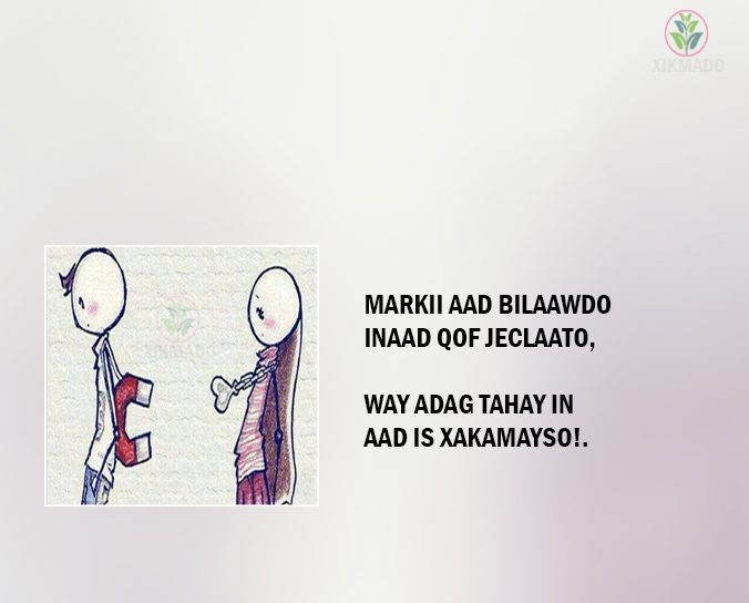 Xikmad Jacayl ah | Xikmado