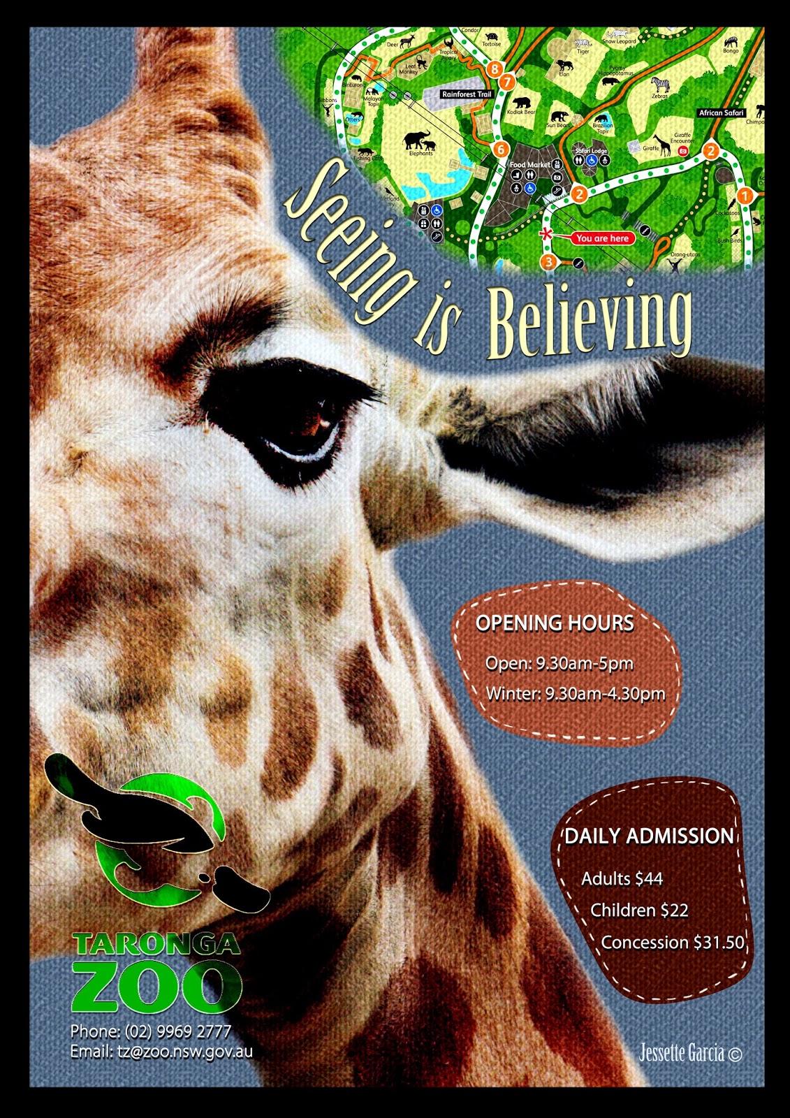 Animal Photography - Zoo Poster