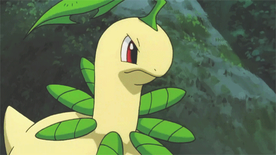 Poké-Arquivo: 153 - Bayleef ~ PMD || Acervo de Imagens de Digimon e ...