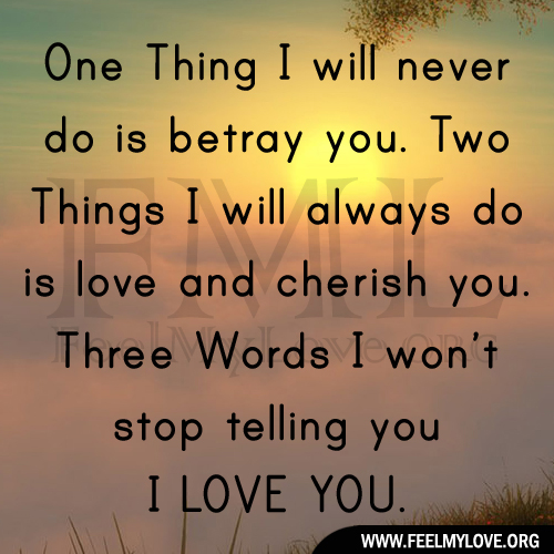 I Will Never Stop Loving You Quotes. QuotesGram