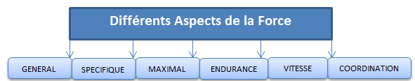 PRÉPARATION PHYSIQUE EN FOOTBALL: Facteurs de Performance