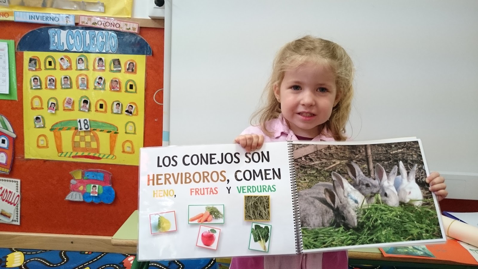 EDUCACIÓN INFANTIL: Información sobre los conejos