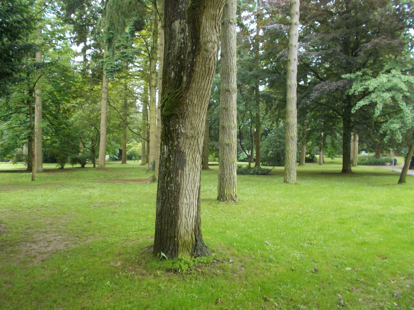 Gudde Moien zu Lëtzebuerg: Park Tony Neuman, Limpertsberg