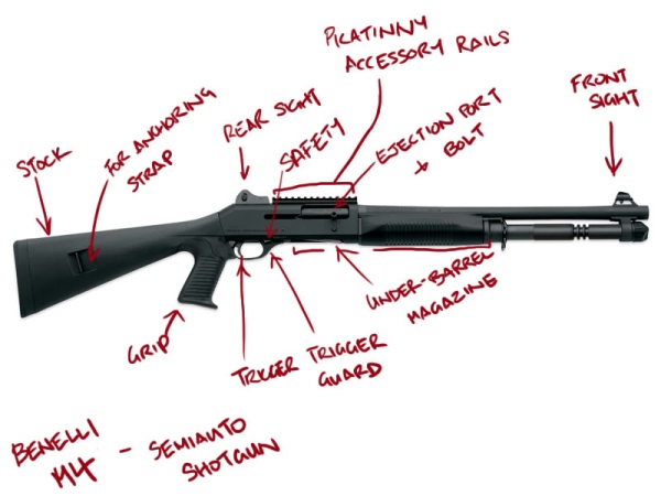 Shotgun Nomenclature Diagram