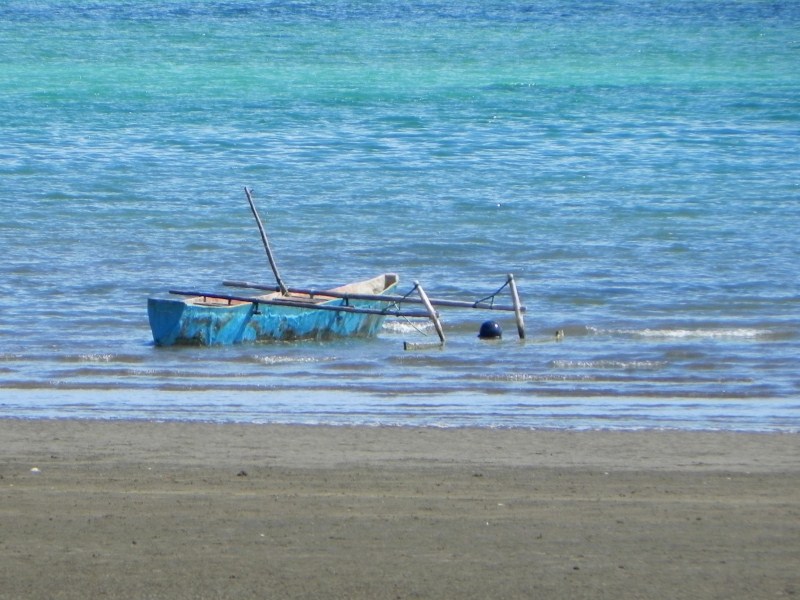Macoco et Bacoco à la Mayotte: Les achats de poisson, un petit tour d ...