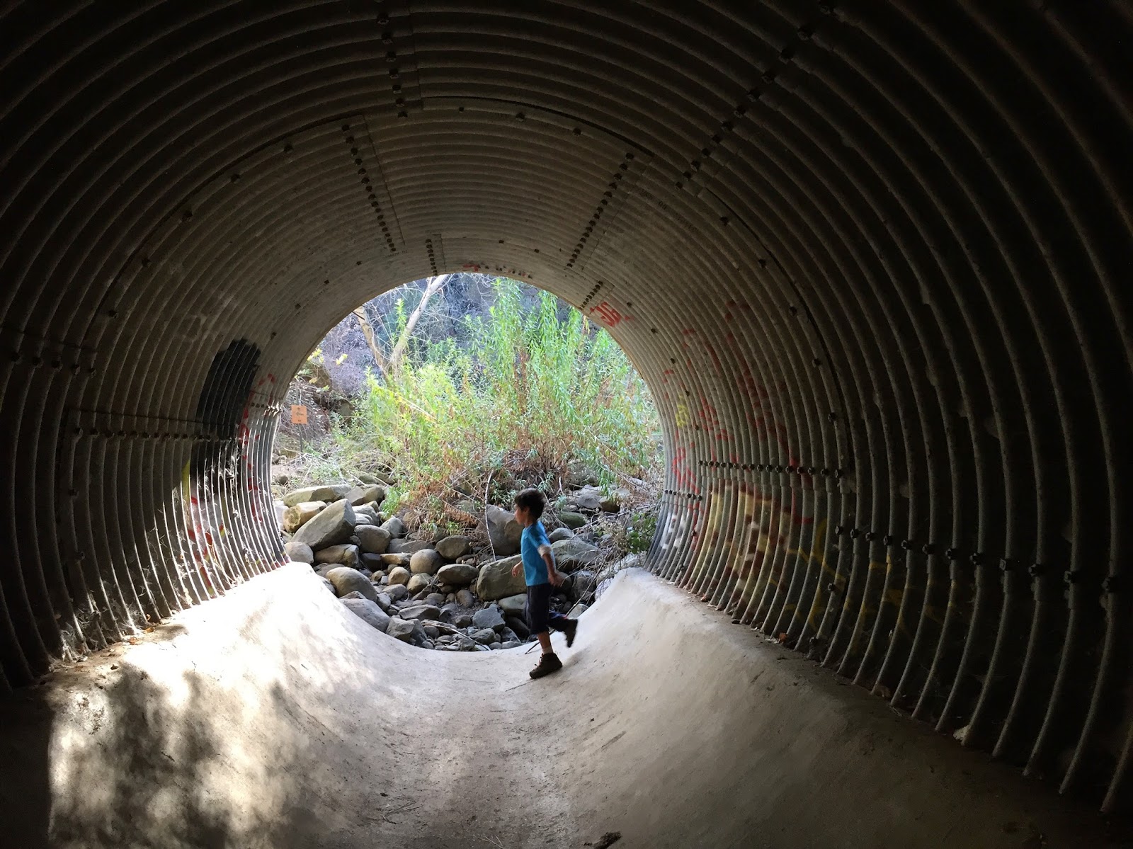 Run-Hike-Play: Hiking Stebbins Cold Canyon Blue Ridge Loop Trail