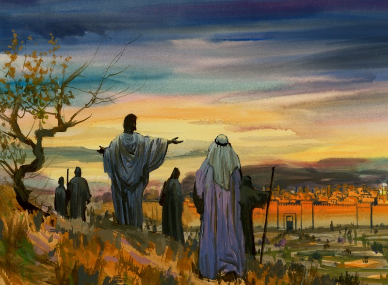 El Blog de Fernando: La Mata de Higuera