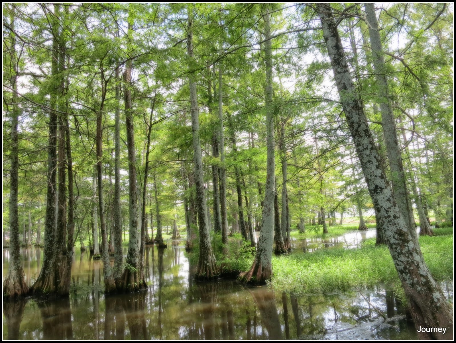 Journey: Arkansas Lower Delta