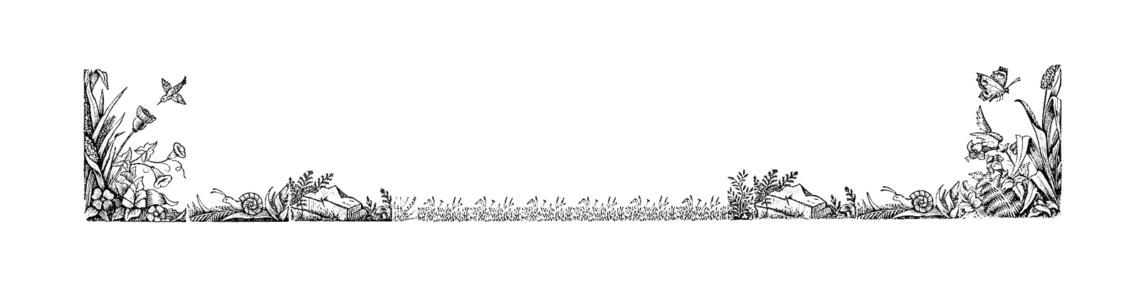 Digital Stamp Design: Free Border Digital Stamp: Border Graphic with ...