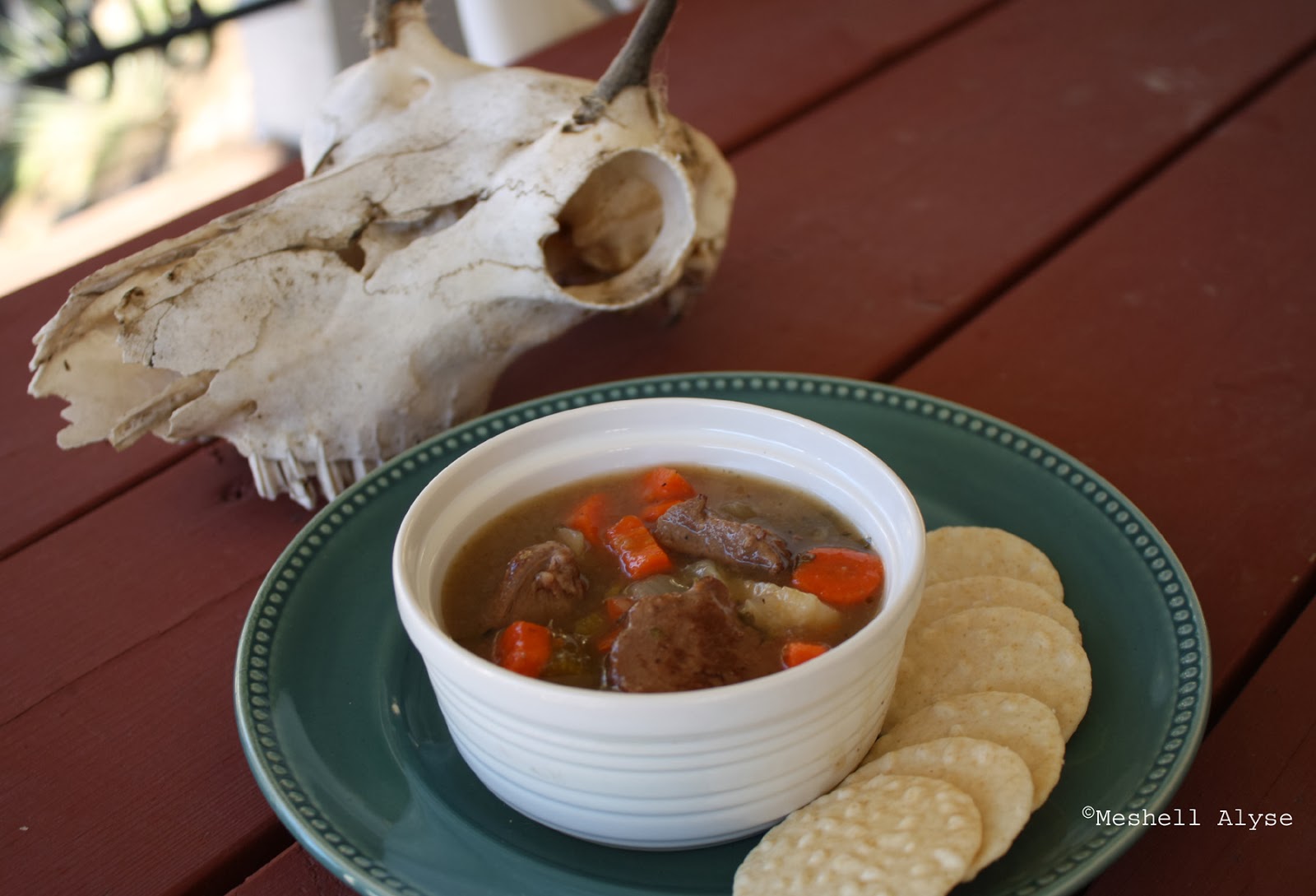 Adaptive Cooking: Crockpot Antelope Stew