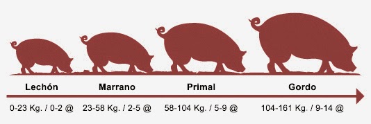 Corte Jamon. (Francisco): Manual