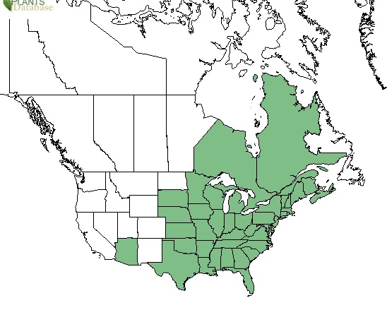 EagleSpeak: Disaster Prep Wednesday: Things to Avoid in the Wild ...