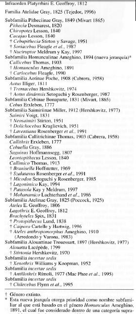 Indómitos Pensamientos: Origen e historia evolutiva del Mono Ardilla ...