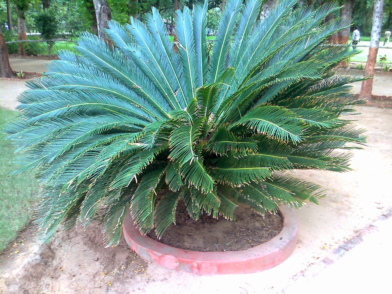 August 2010 - Green Ahmedabad: