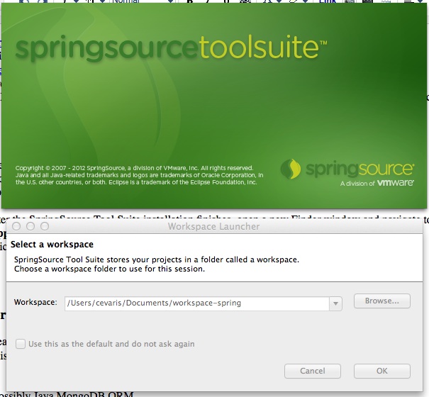 DataNode: Adding Custom Build Apache Tomcat to SpringSource Tool Suite