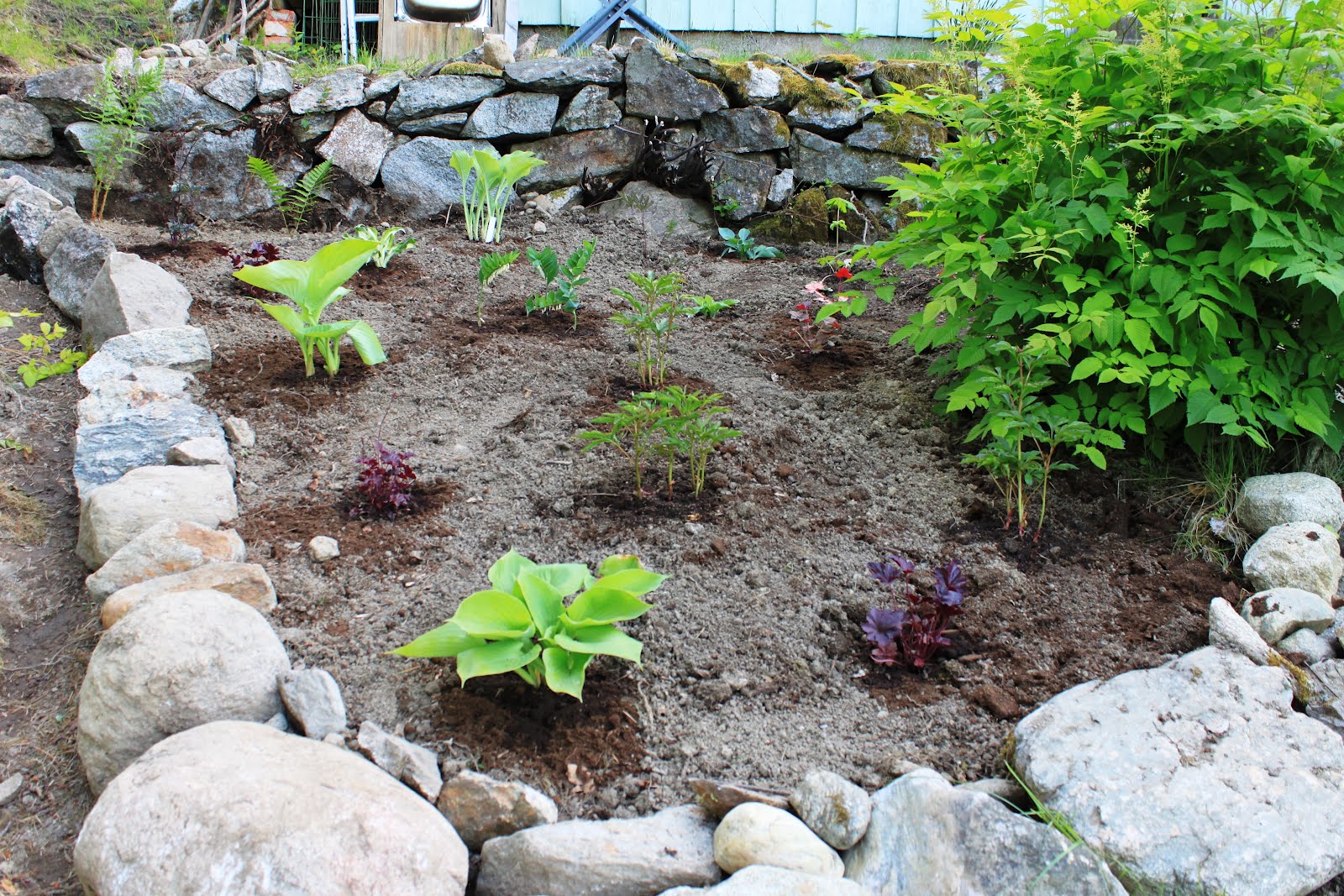 Mina trädgårdar: Första rabatten är klar