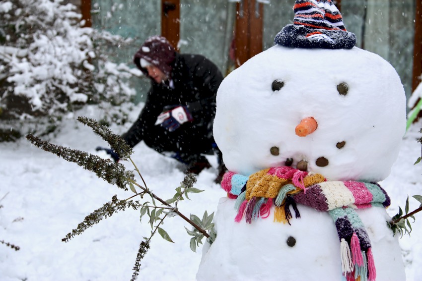 Sparkly Snow and a Warm Cozy Glow