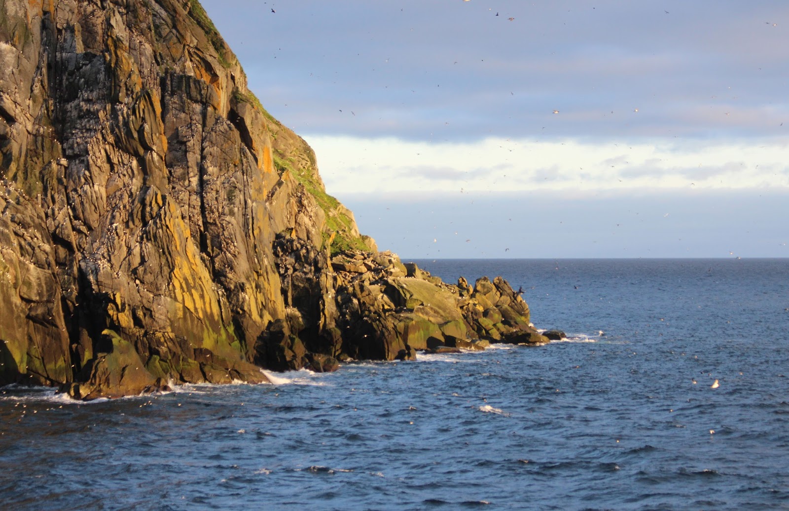 Du Vanuatu à l'île Macquarie, en Alaska, au Vietnam, au Groenland ...