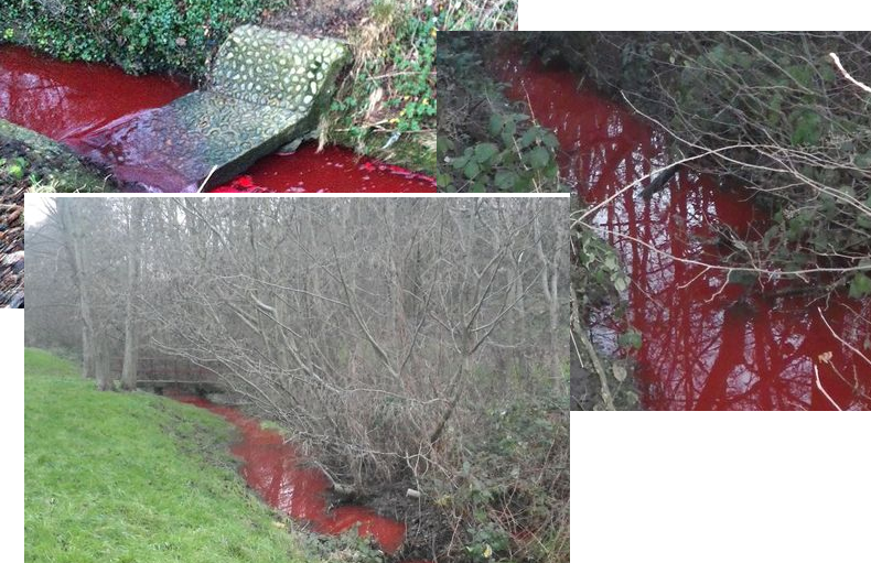 10 PHOTOS OF RIVER THAT TURNED BLOOD | Bongopic