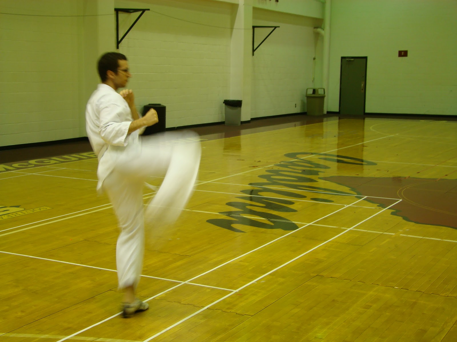 USC Karate: Kicks