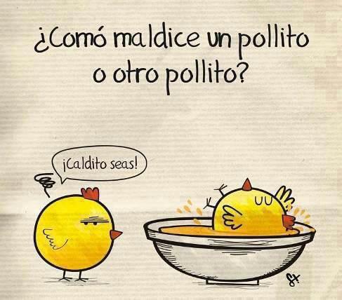 ¿Como maldice in pollito a otro pollito? ~ Frases y Imagenes de Humor