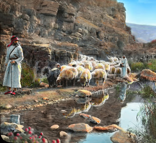 New Testament -- Gospel Doctrine: The Good Shepherd