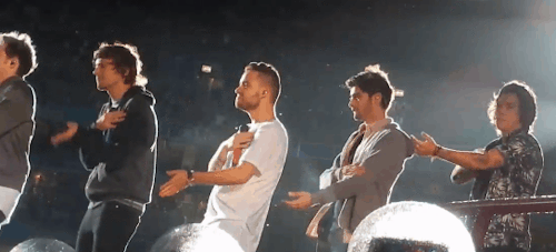 One Direction Girls ♥: Gifs de conciertos, Where We Are Tour 5 :)