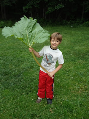 To the Lesson!: Rhubarb Anyone?