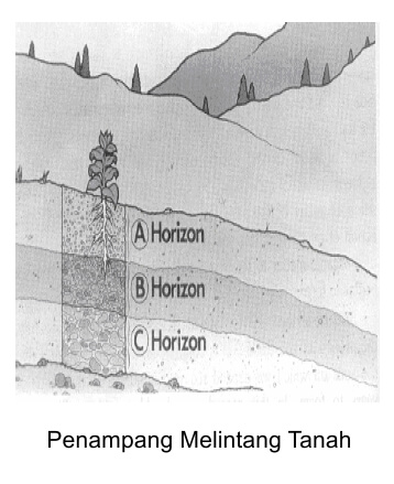 Profil Tanah dan Kimia Tanah - Agro Eksplor