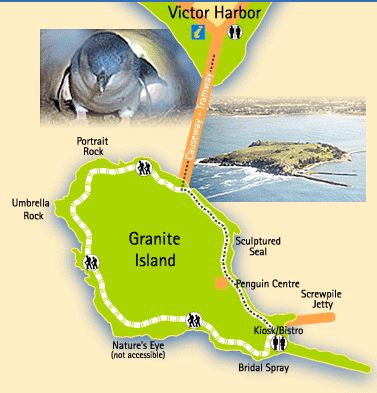 The Finneys Down Under: Day 9 - Victor Harbor and Granite Island