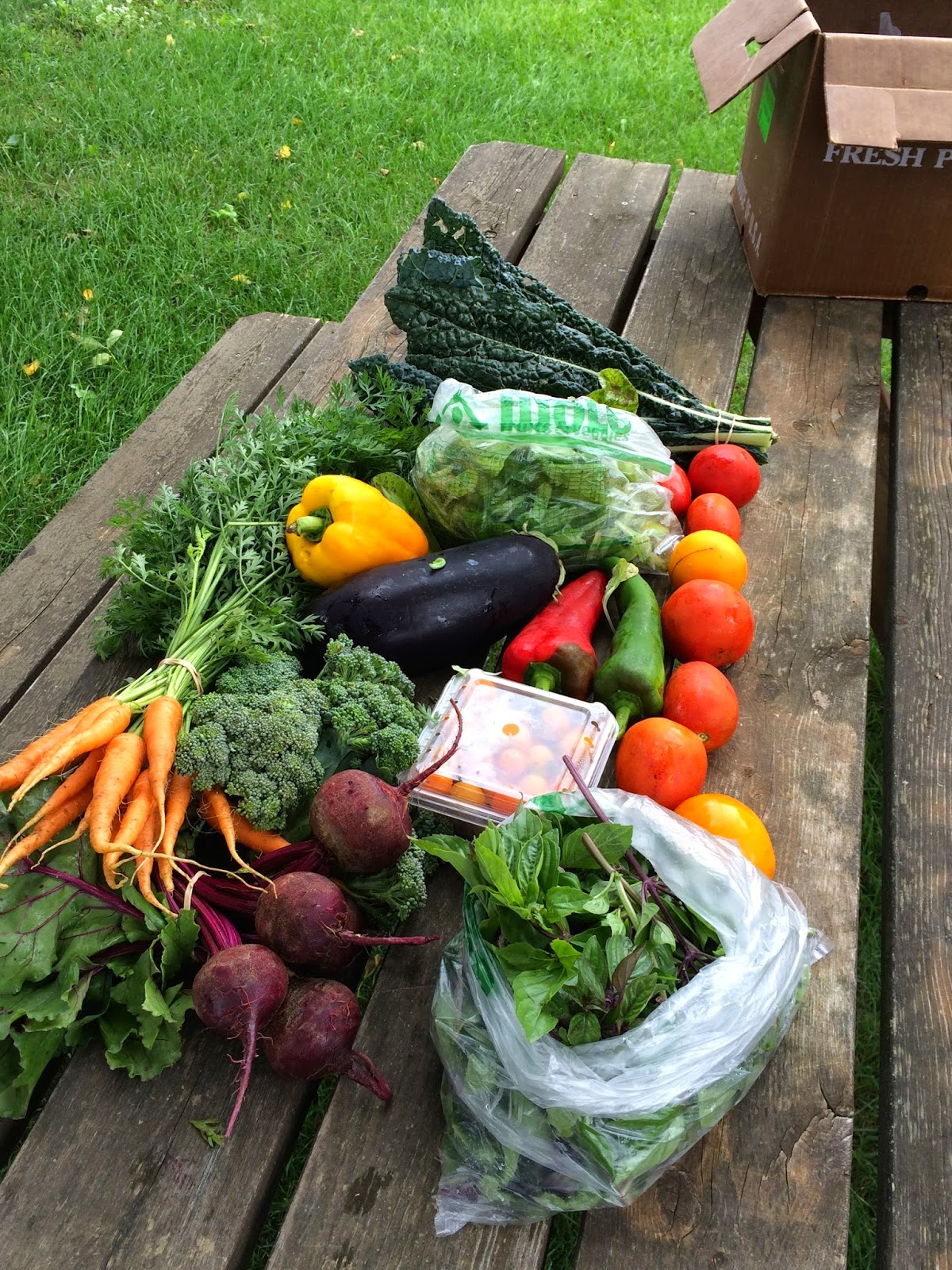 Becki Melvie: CSA {Community Supported Agriculture} Week 12