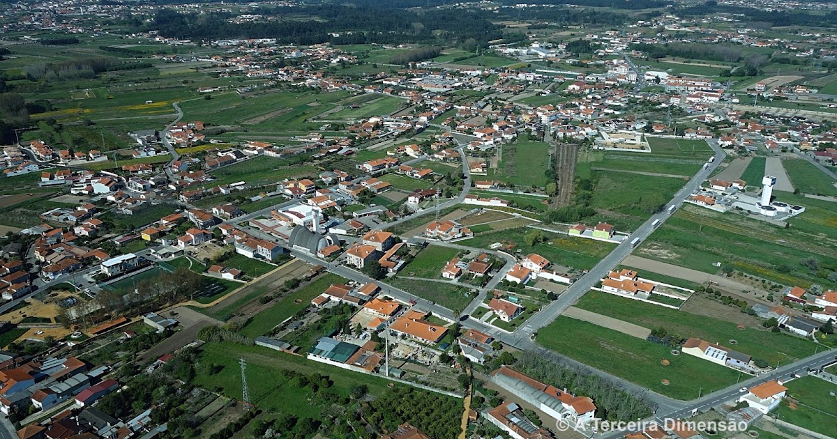 A Terceira Dimensão: Bustos