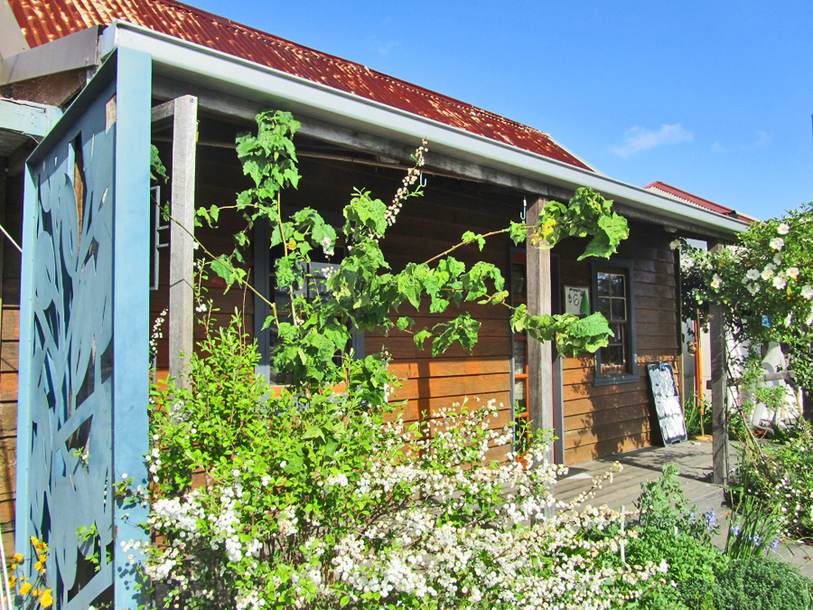 Daily Photo Canberra: Mogo village