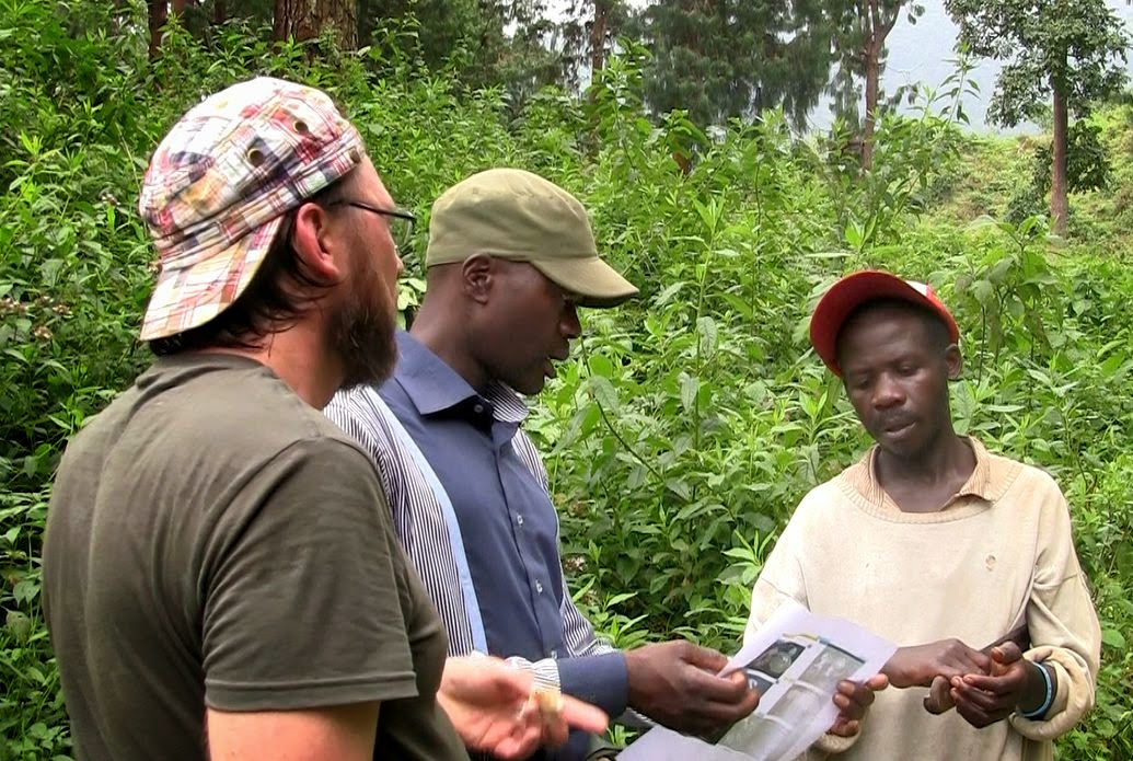 Rwanda-Fungi: The mystery of the Amanite of Bweyeye!