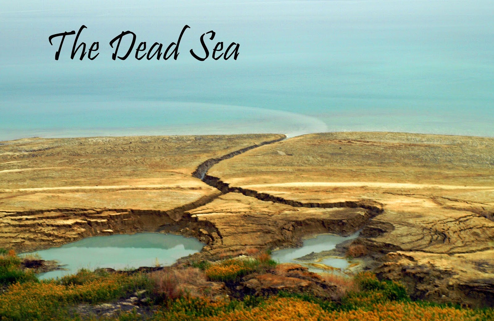 Smart Travel Chick: A visit to the Dead Sea