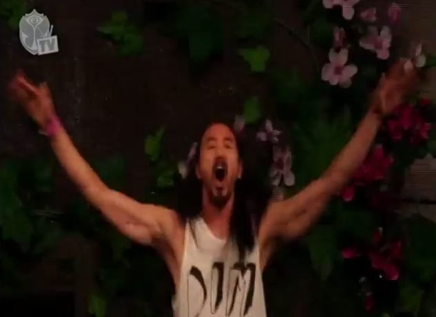 Progressive House Trance & Electro Music: STEVE AOKI