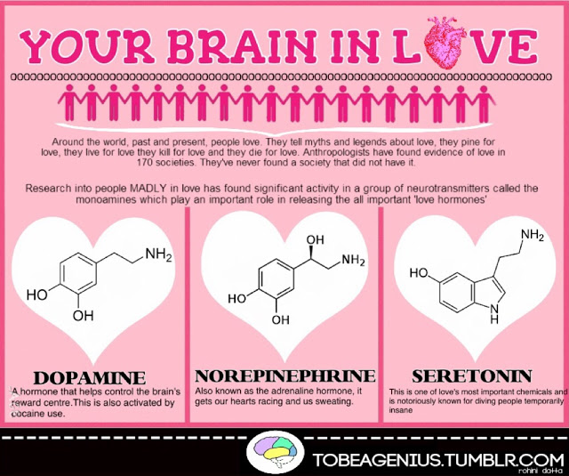 What Is Love? - Nauka govori