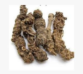 Farmakognosi Radix : 10. VALERIANAE RADIX