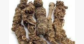 Farmakognosi Radix : 10. VALERIANAE RADIX