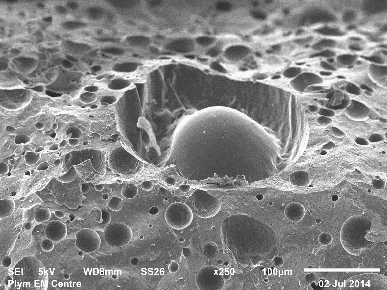 Plymouth Electron Microscopy Centre: Using cryo-SEM to perfect your ...