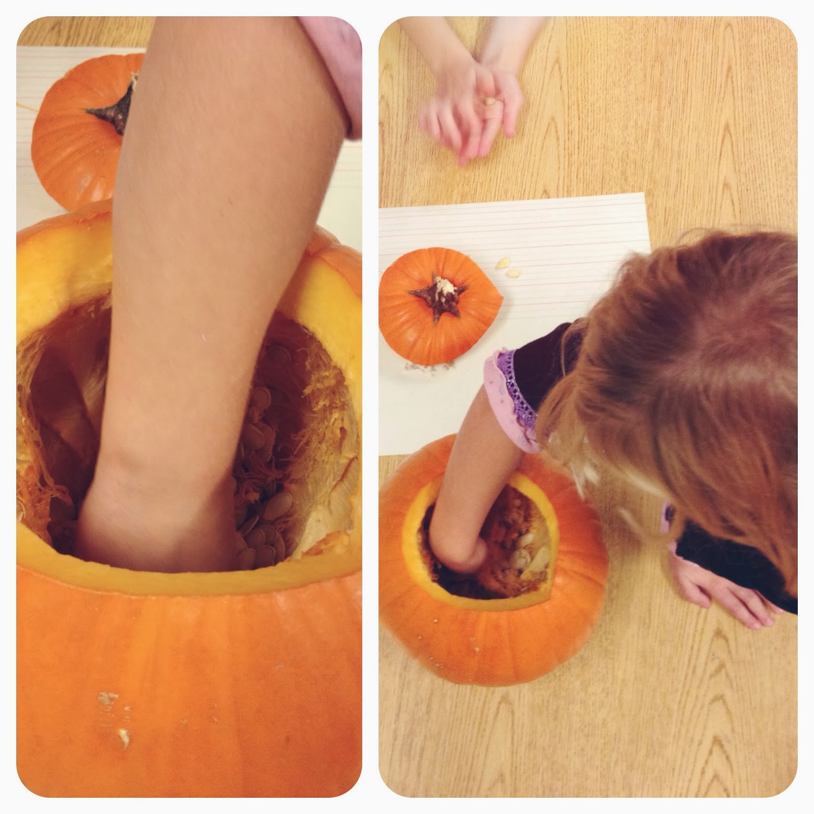 Simply Second Grade: Pumpkin Unit Photos {Part 1} Plus a pumpkin freebie!
