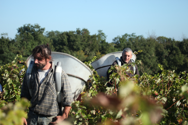 Jim's Loire: 2012 Loire: Pineau d'Aunis@Clos Roche Blanche (Touraine)