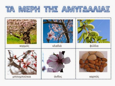 Νηπιαγωγός απο τα Πέντε: ΑΝΘΙΣΜΕΝΗ ΑΜΥΓΔΑΛΙΑ...
