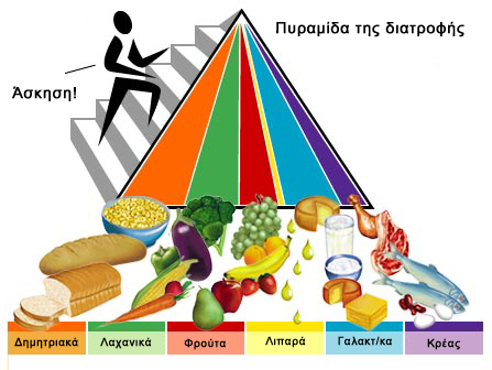 Φυσική Αγωγή: ΥΓΙΕΙΝΗ ΔΙΑΤΡΟΦΗ, ΑΣΚΗΣΗ ΚΑΙ Δ.Μ.Σ.