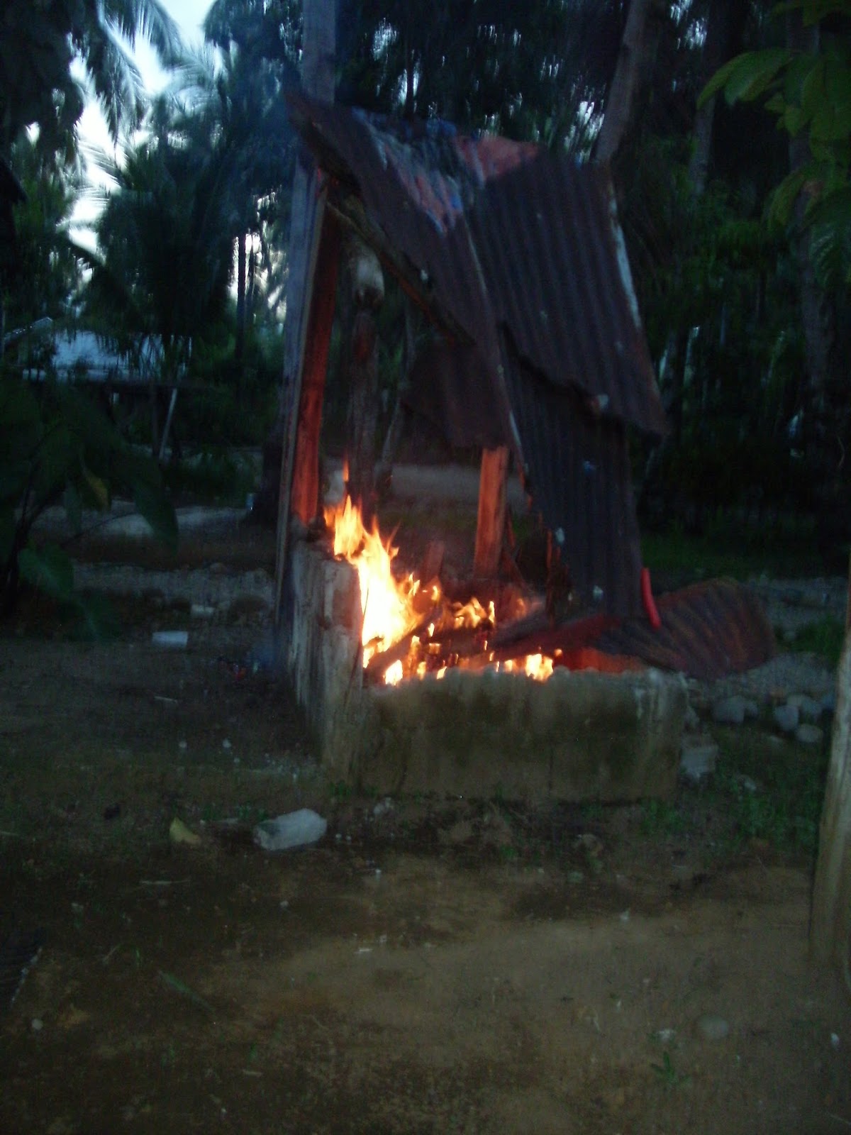 Mid-life Wanderings: Another Milestone - We can finally burn the Outhouse