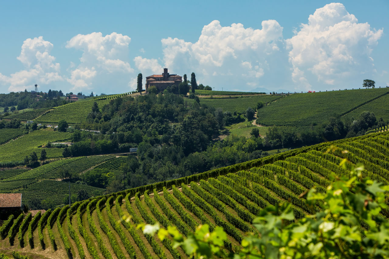 Marcarini Barolo Brunate - John Fodera's Tuscan Vines