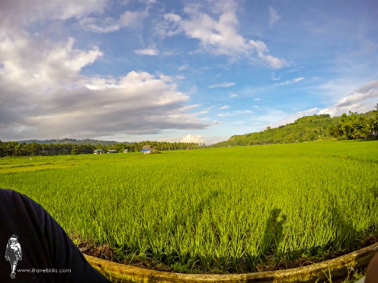 itravelskiks: How to get to Barili Cebu and it's famous Mantayupan Falls