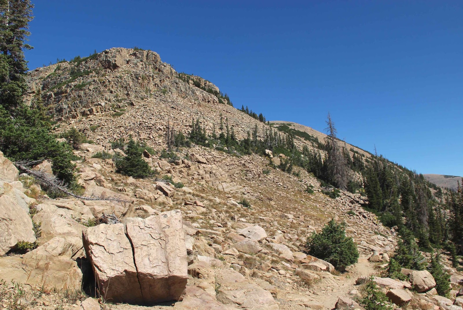 In the Company of Plants and Rocks: October 2016