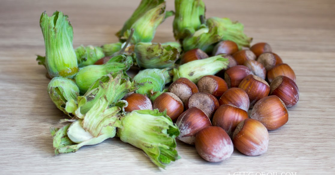 Official Cobnut Season is Here | A Glug of Oil